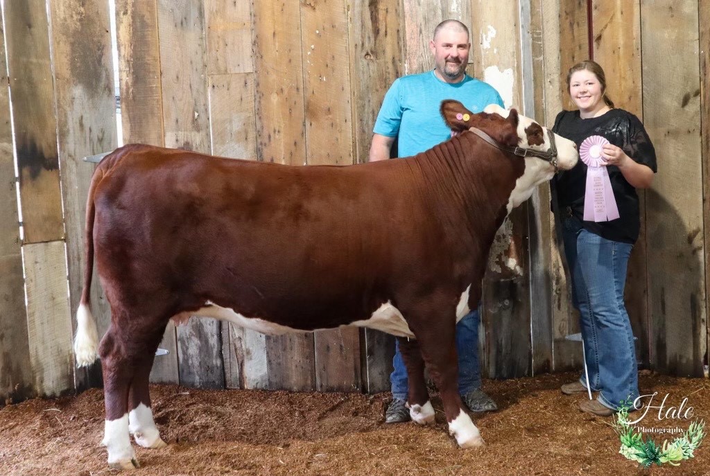 Rafter T Ranch | Arkansas Hereford and Black Hereford Cattle