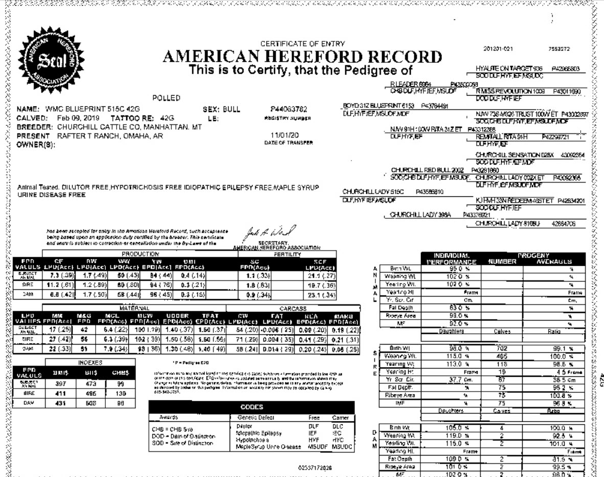 Our Sires | Rafter T Herefords